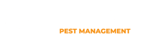 Perth Pest Control | Economy Pest Control Perth