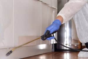 Perth Pest Control | Economy Pest Control Perth