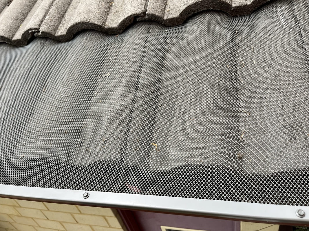 Vermin Proofing Perth | Economy Vermin / Rodent Proofing Perth